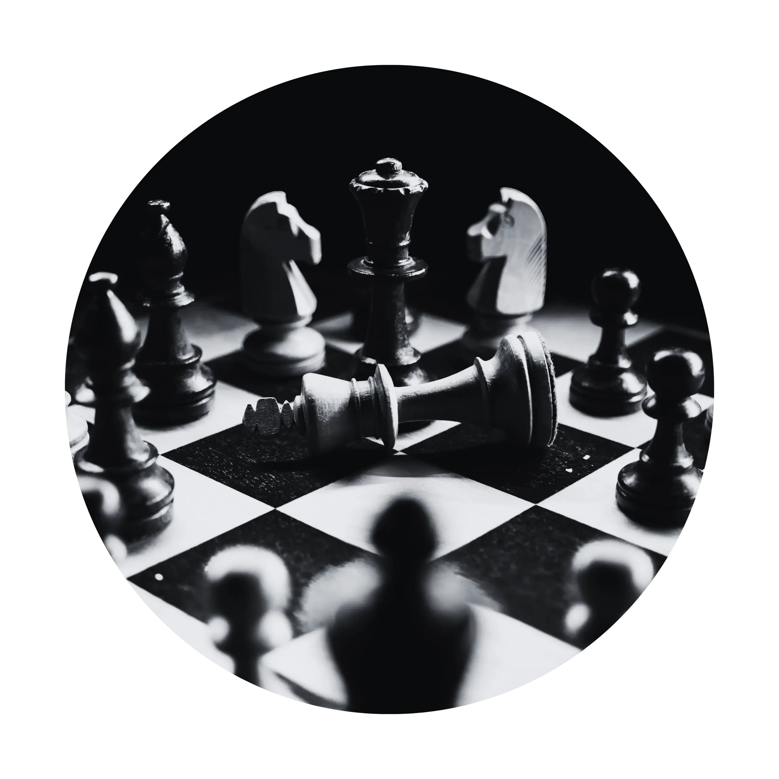 Vogel - Vogel & Vogel